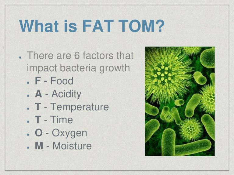 What Does FAT TOM Stand For? - Lafianna.com