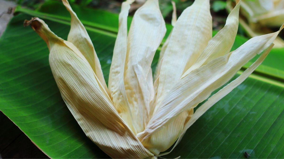 How to Dry Corn Husks - Lafianna.com